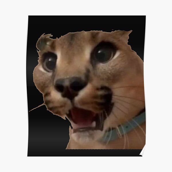 "floppa suprised" Poster for Sale by momshow | Redbubble