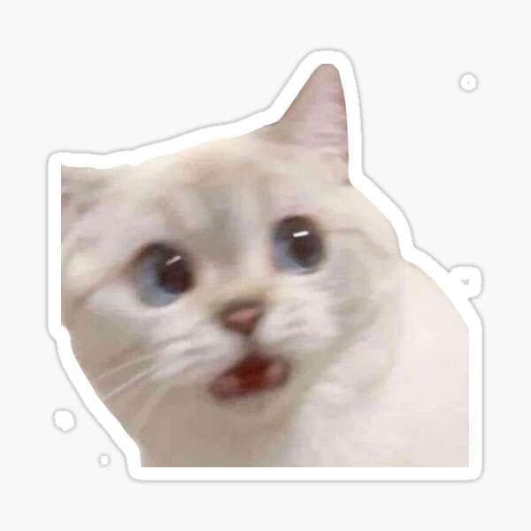 "Meme blurred cat" Sticker for Sale by Heartling | Redbubble