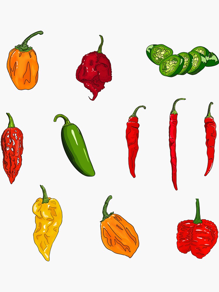 "Chili Pepper Stickers Super Set" Sticker for Sale by mojocoffeetime ...