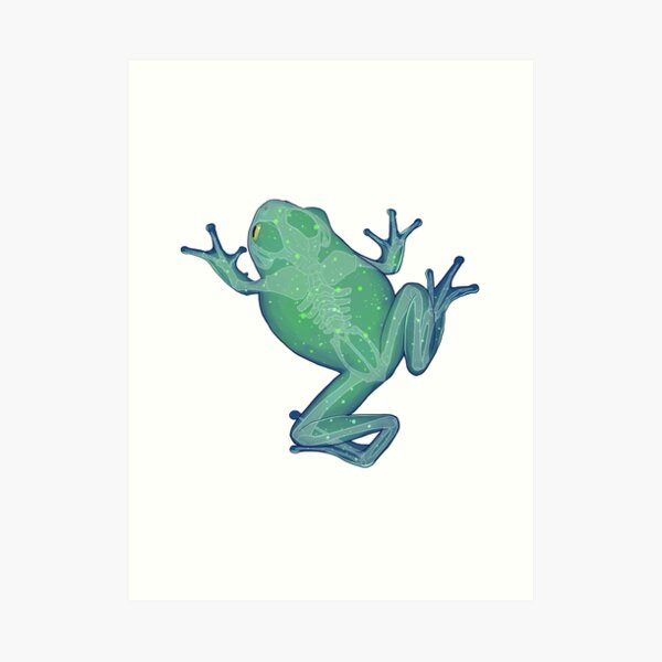 "Constellation frog" Art Print by Kmoonleaf | Redbubble