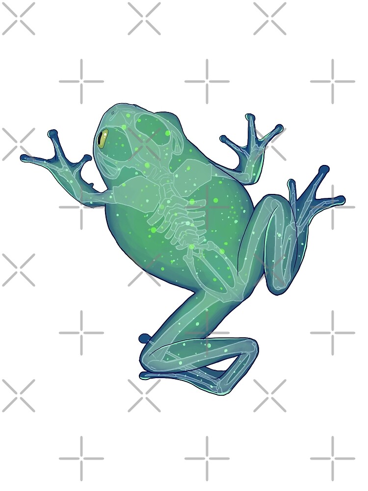 "Constellation frog" Art Print by Kmoonleaf | Redbubble