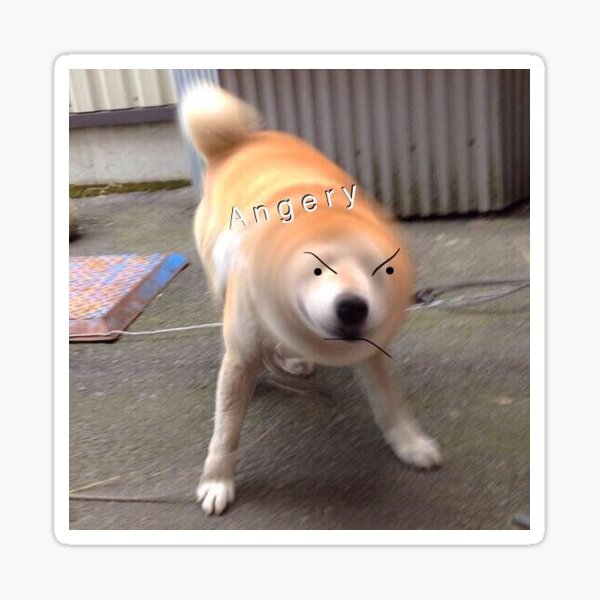 "Angry Shiba Sticker" Sticker for Sale by limbo | Redbubble
