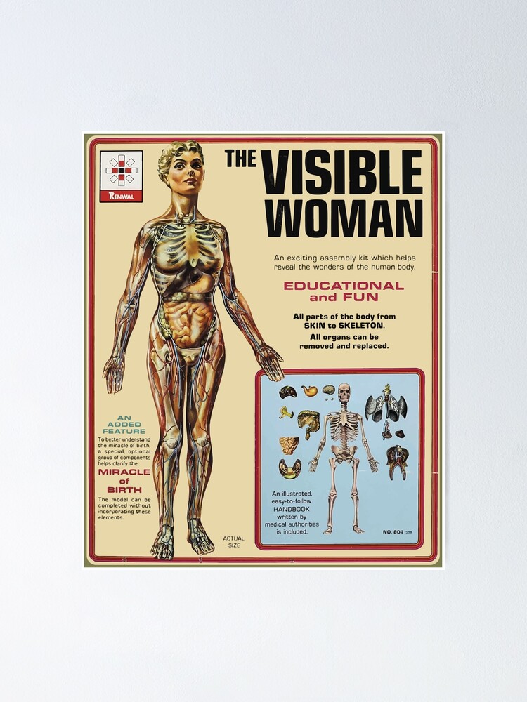 "The Visible Woman Vintage Packaging" Poster for Sale by jesseladret ...