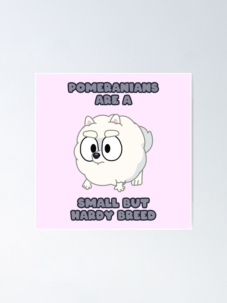 "Pom Pom Power" Poster for Sale by GetEntertained | Redbubble
