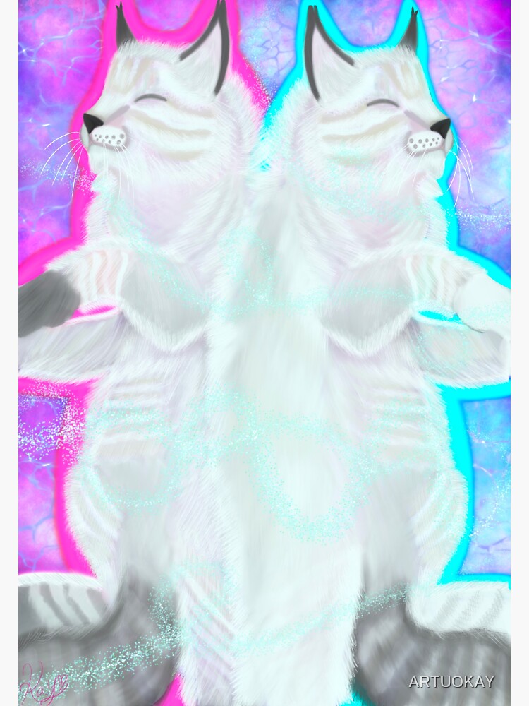 "Galaxy Cats" Sticker for Sale by ARTUOKAY | Redbubble