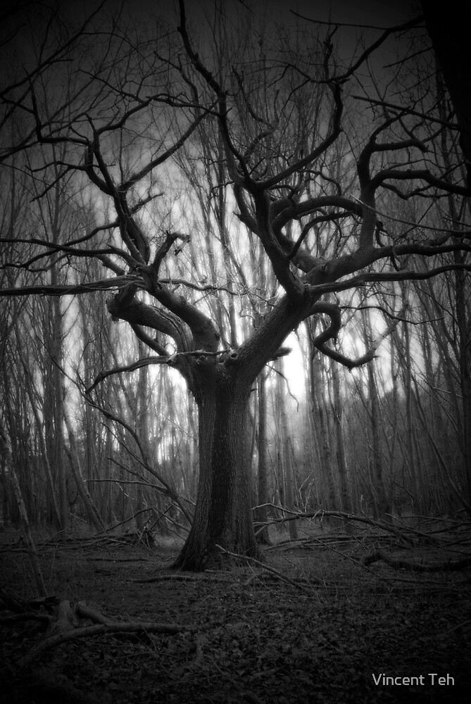 "haunted tree" by Vincent Teh | Redbubble
