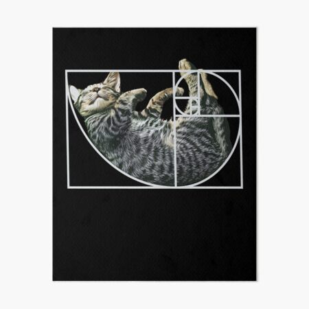 "Golden Ratio Fibonacci Cat Fibonacci's Spiral Kitty" Art Board Print ...