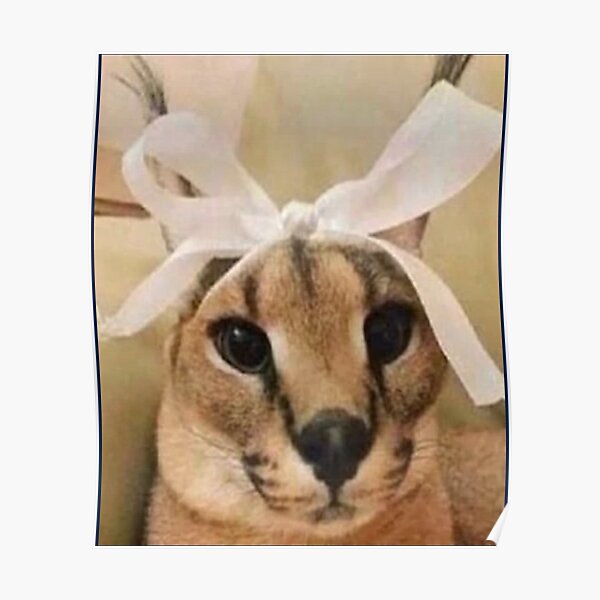 "big floppa cat " Poster for Sale by GabiMary | Redbubble