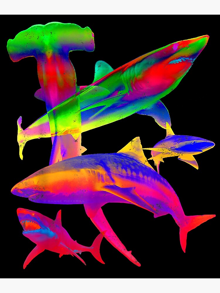 Póster «Ropa de tiburón Tiburones coloridos Fiesta Niños Mujeres ...