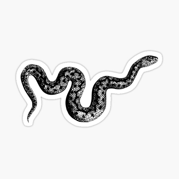 Snake Stickers | Redbubble