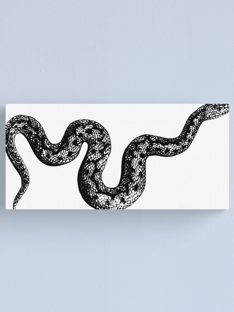 Snake A4 print Digital Prints Art & Collectibles Prints etna.com.pe