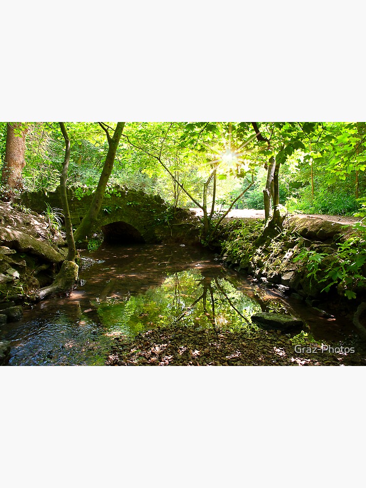 "Blaise Castle bridge" Sticker for Sale by Graz-Photos | Redbubble