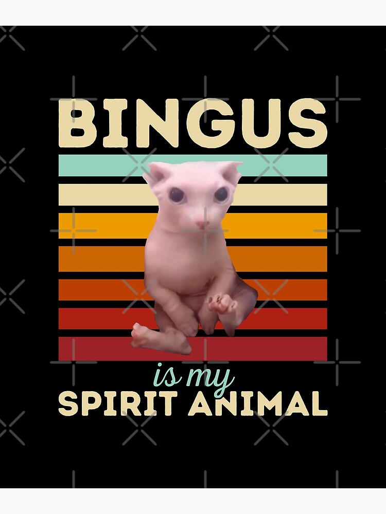 "Bingus ist mein Krafttier, haarloses Sphynx-Katzen-Meme" Poster von ...