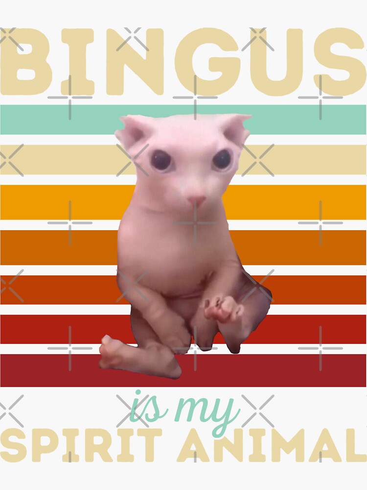 Pegatina «Bingus es mi espíritu animal, meme de gato esfinge sin pelo ...