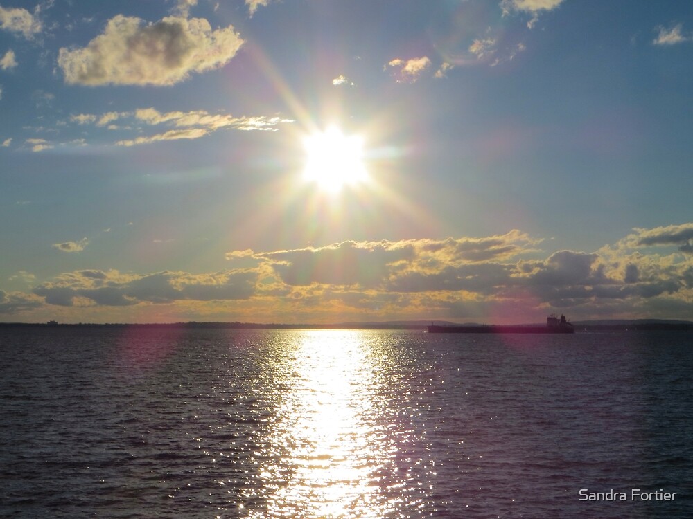 "Star Bright" by Sandra Fortier | Redbubble
