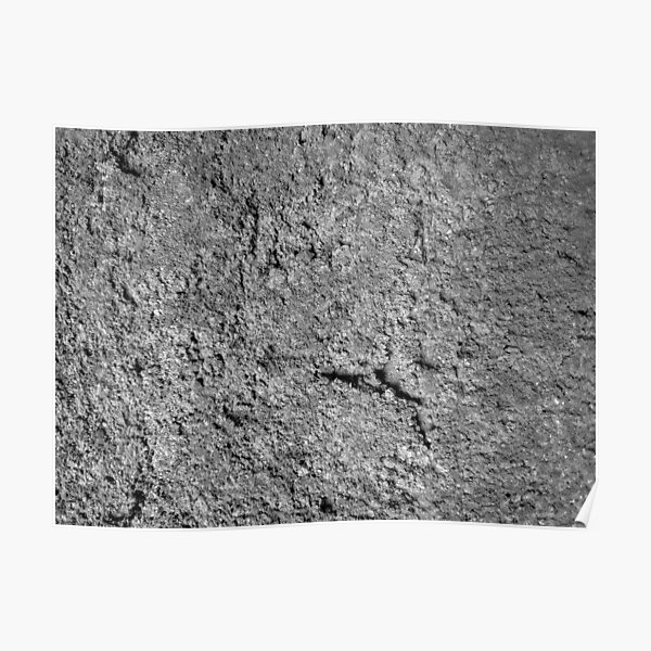 "Gray Epic Texture" Poster for Sale by setyaki | Redbubble