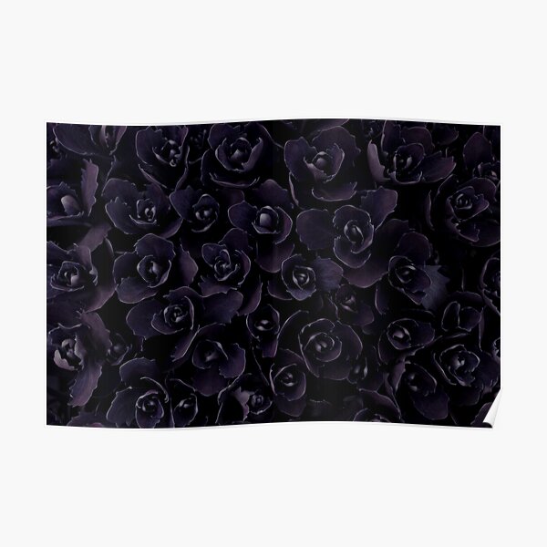 "Beautiful black rose pattern" Poster for Sale by fungrio | Redbubble