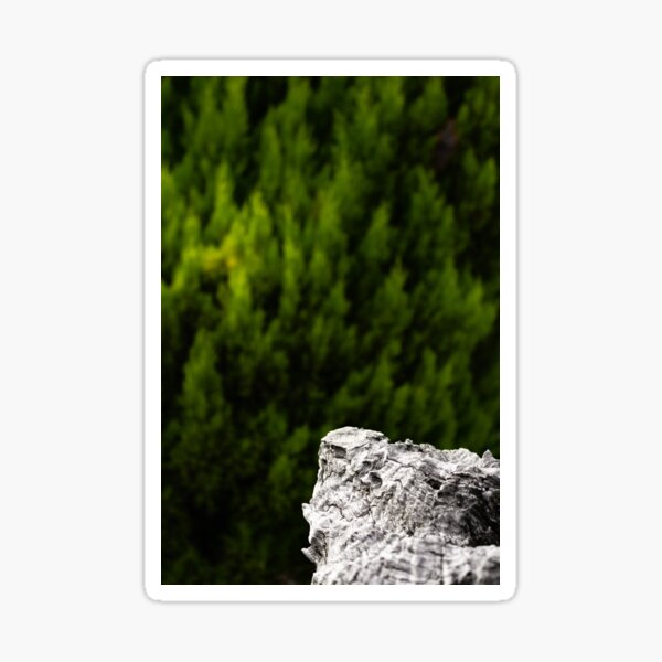 "Contrasting textures" Sticker by TheNinthMemory | Redbubble