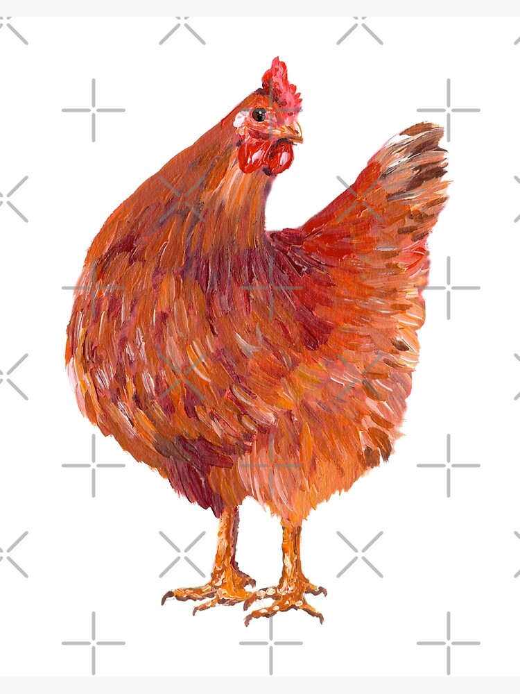 Hen Art Study Of A Dead And A Live Chicken