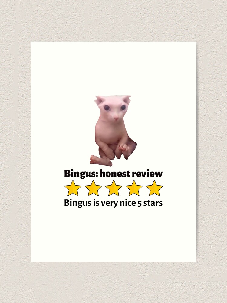 "Bingus Sphynx Hairless Cat Meme Rating" Art Print for Sale by ...