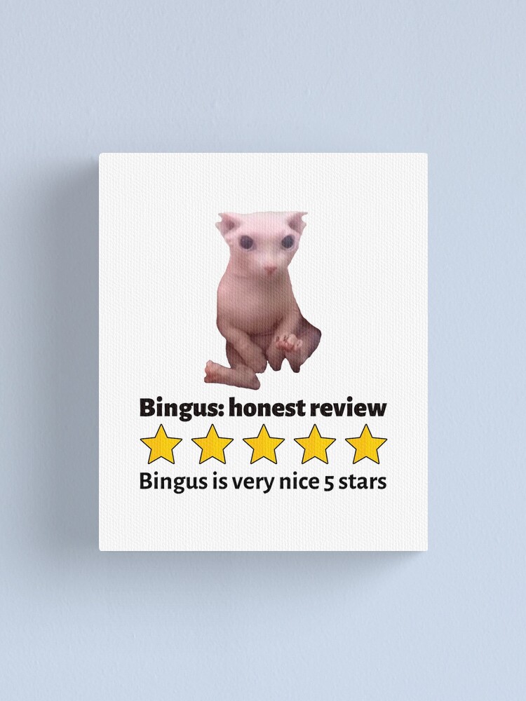 "Bingus Sphynx Hairless Cat Meme Rating" Canvas Print for Sale by ...