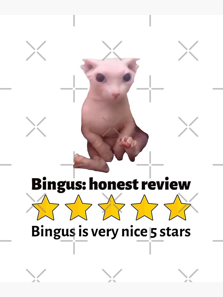 "Bingus Sphynx Hairless Cat Meme Rating" Canvas Print for Sale by ...