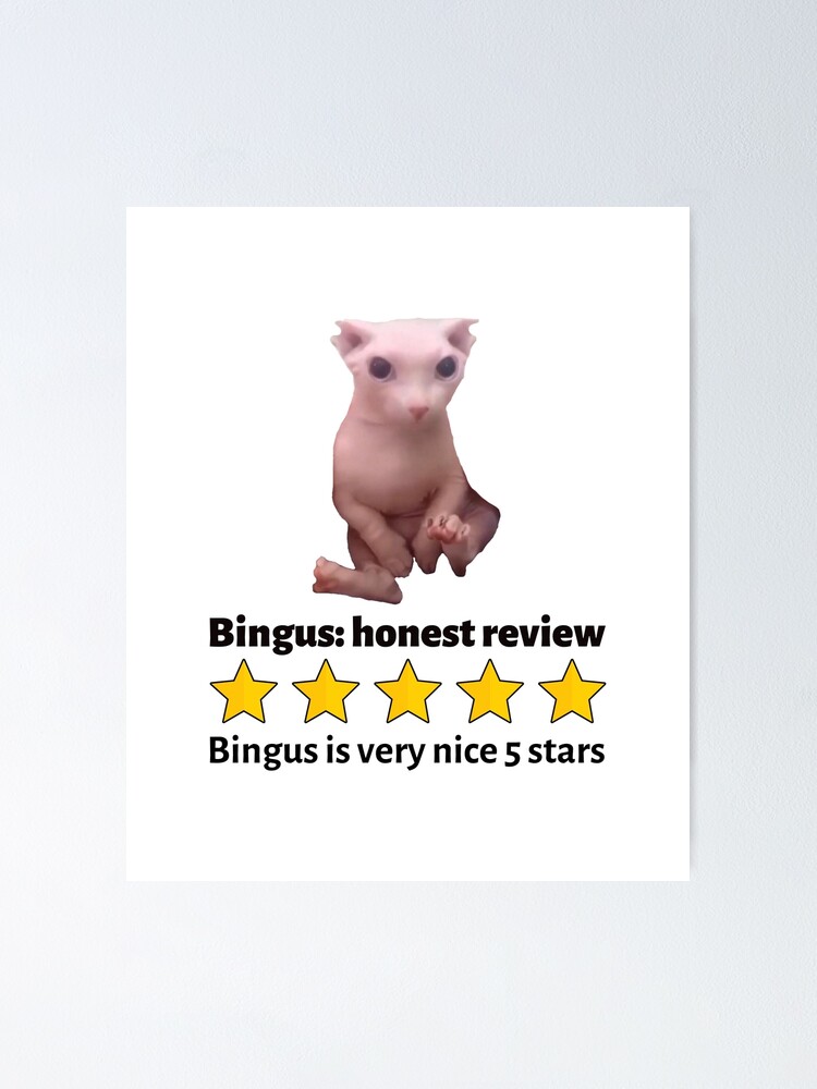 "Bingus Sphynx Hairless Cat Meme Rating" Poster for Sale by ...