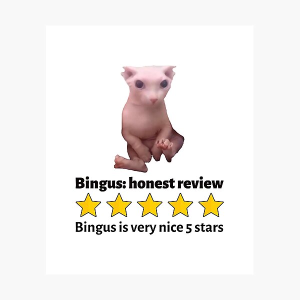 "Bingus Sphynx Hairless Cat Meme Rating" Photographic Print for Sale by ...
