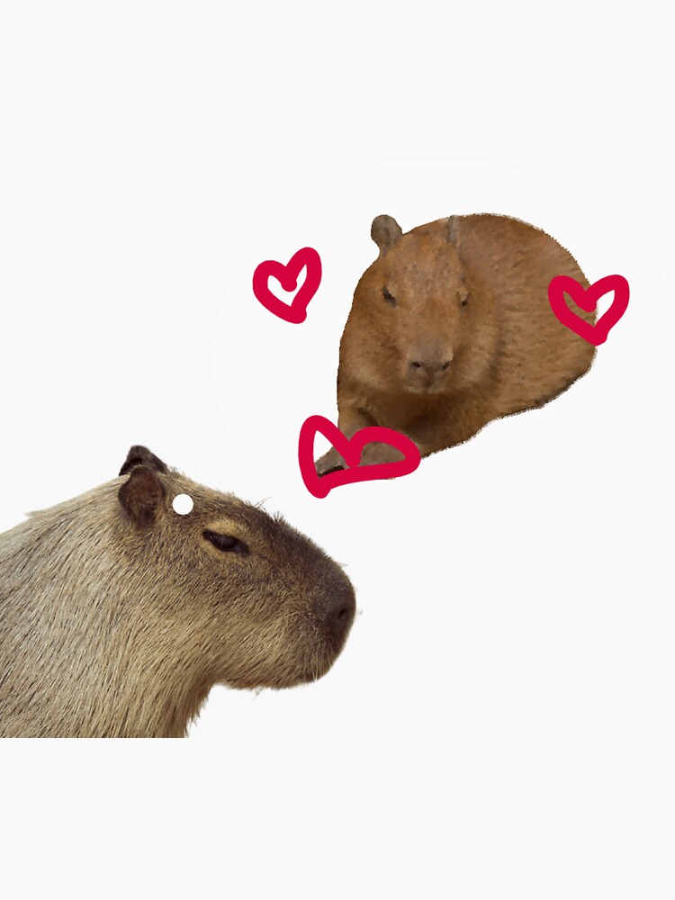 "Capy in love" Sticker for Sale by svvp | Redbubble
