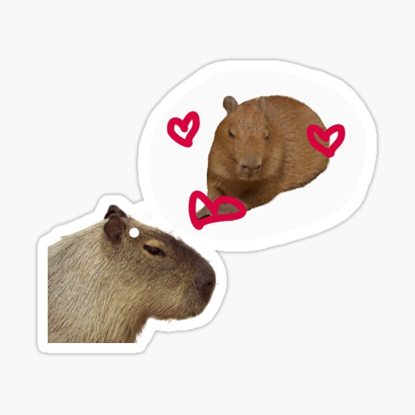 "Capy in love" Sticker for Sale by svvp | Redbubble
