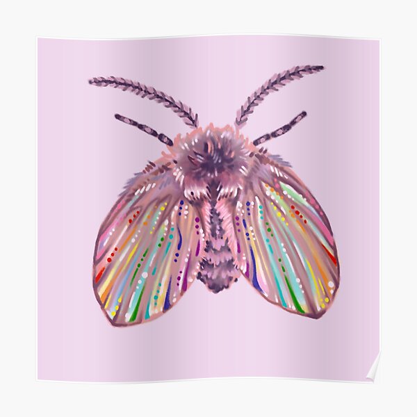 "LGBTQ+ Pride Gay Moth" Poster for Sale by luxnovaart | Redbubble
