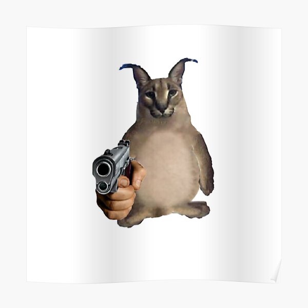 "flop meme template" Poster for Sale by zianeshow | Redbubble