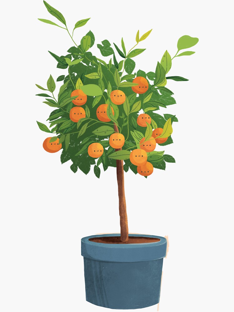 "orange tree sticker" Sticker for Sale by DianaBezukh | Redbubble