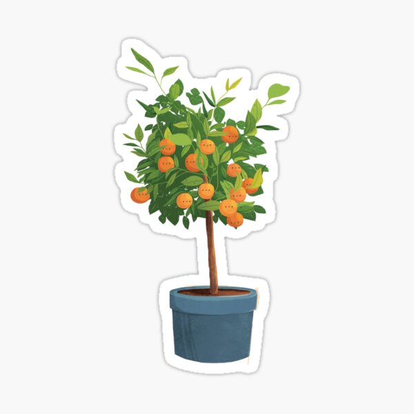 "orange tree sticker" Sticker for Sale by DianaBezukh | Redbubble