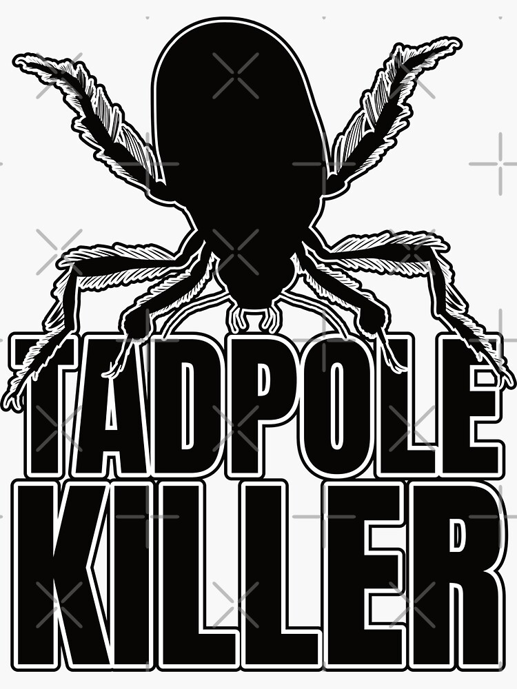 "Diving Beetle Beetles Tadpole Killer – Entomology Geek" Sticker for ...