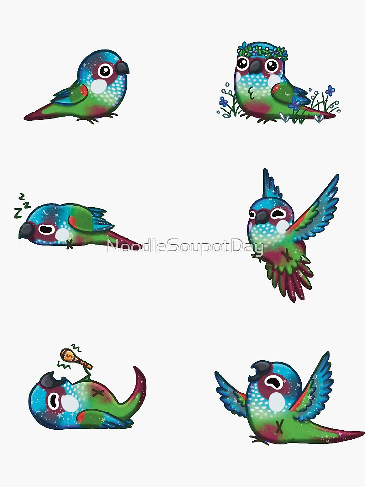 "Emma's Conure " Sticker for Sale by NoodleSoupotDay | Redbubble