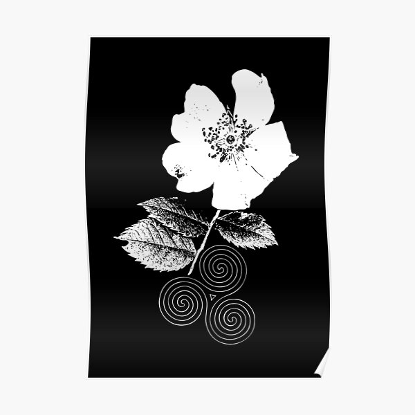 "Trinity Flower Wild Rose with Triskelion Spiral" Poster for Sale by ...