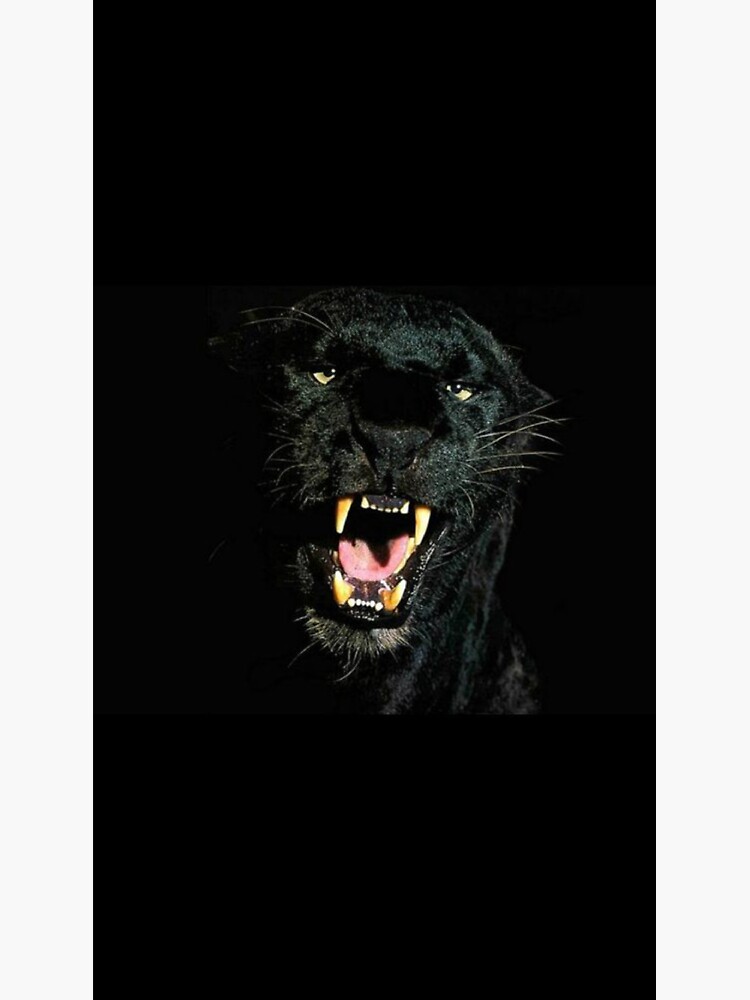 "black tiger" Sticker for Sale by Mounir7 | Redbubble