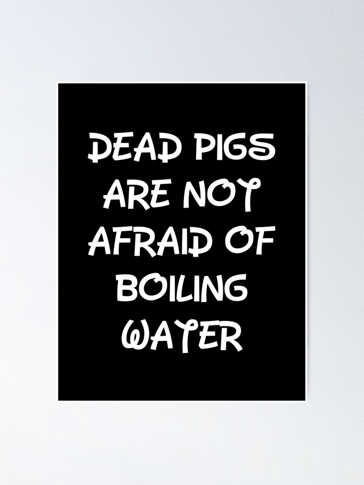 "Dead Pigs Are Not Afraid of Boiling Water" Poster for Sale by ...