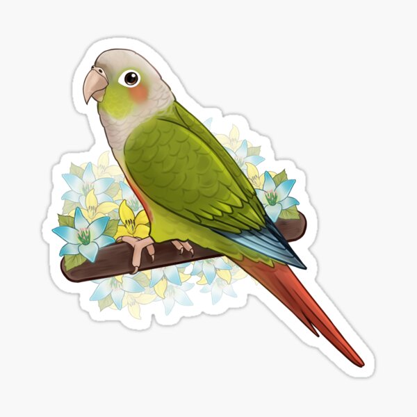 "Cute Conure" Sticker for Sale by meruesan | Redbubble