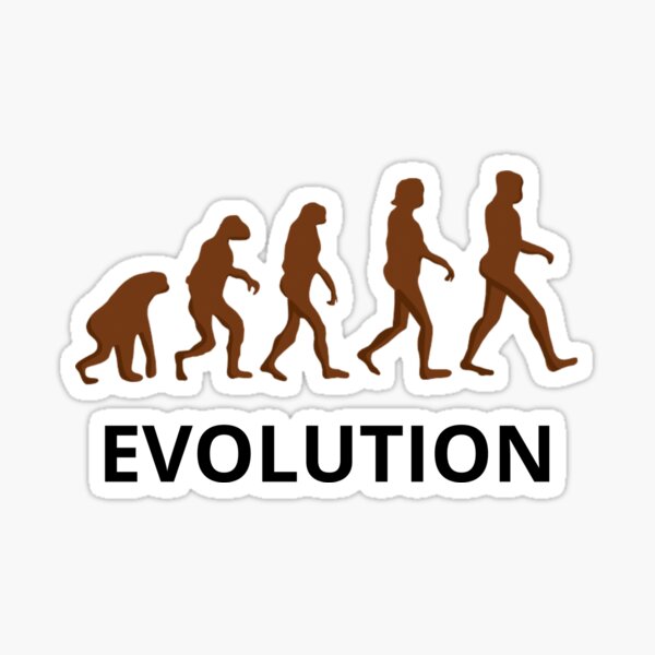 "EVOLUTION" Sticker for Sale by Meithyl | Redbubble