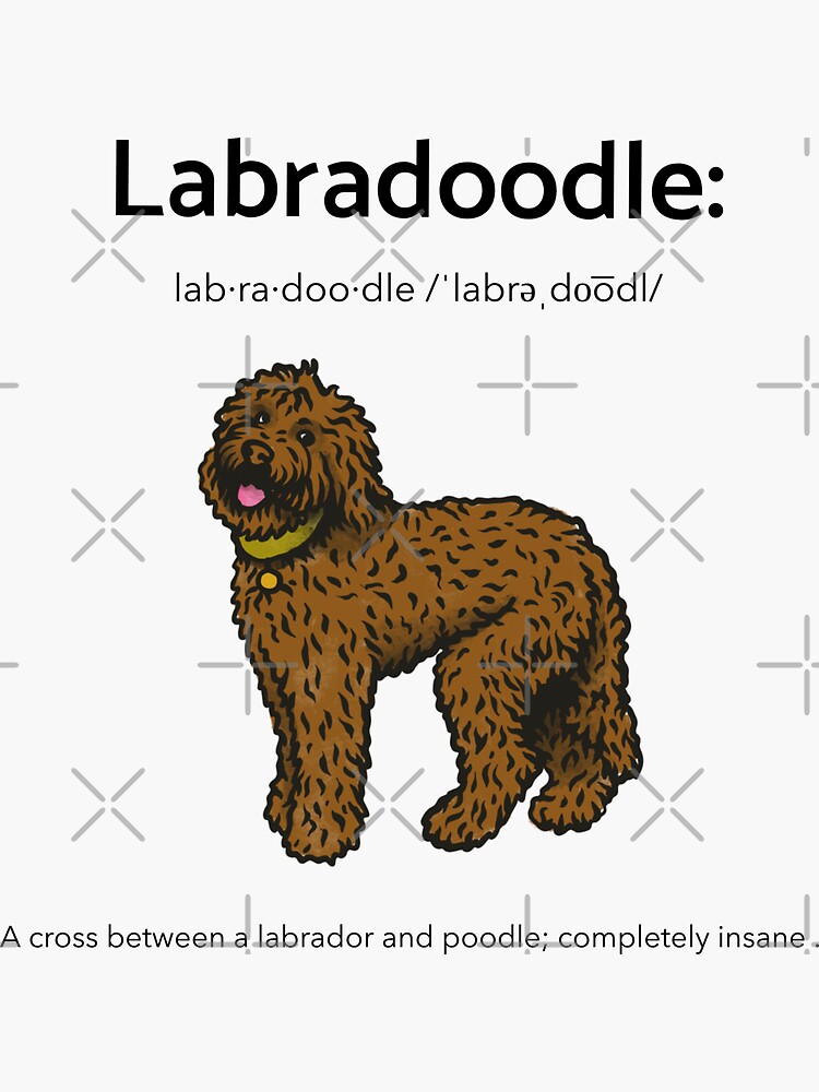 "Insane Labradoodle" Sticker for Sale by MJTdoodles | Redbubble