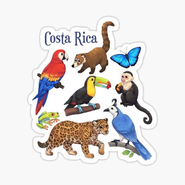 "Animals of Costa Rica" Sticker for Sale by kippythecat | Redbubble