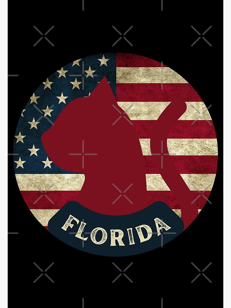 "Florida Distressed American Flag Cat Silhouette" Poster for Sale by ...