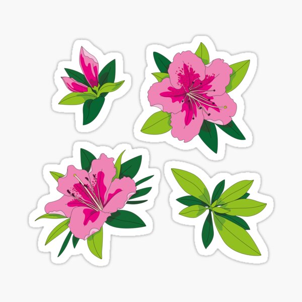"Azalea set" Sticker for Sale by floralfan | Redbubble