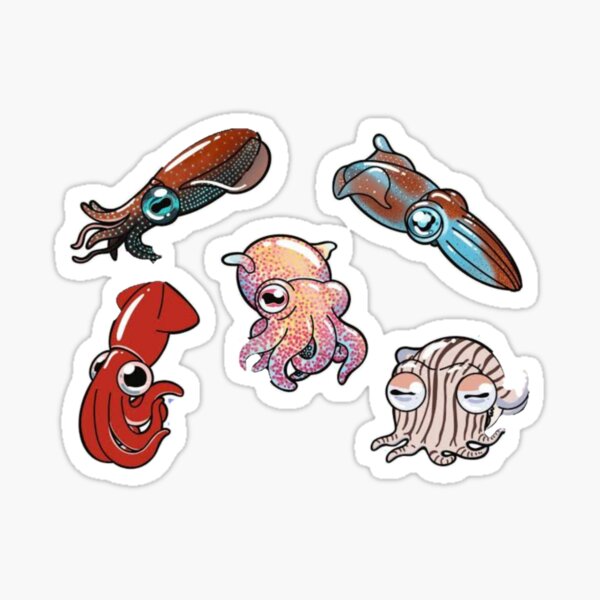 "Big fin squid" Sticker by Asfiakhan467 | Redbubble