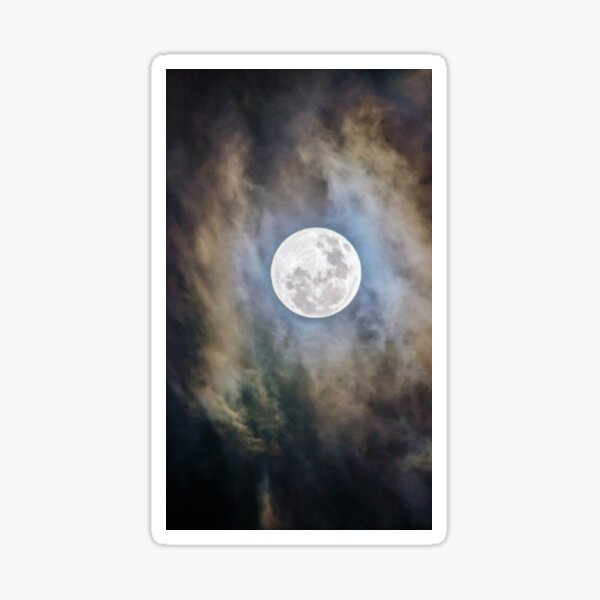 "moonlight" Sticker for Sale by Nevena-Cigan | Redbubble