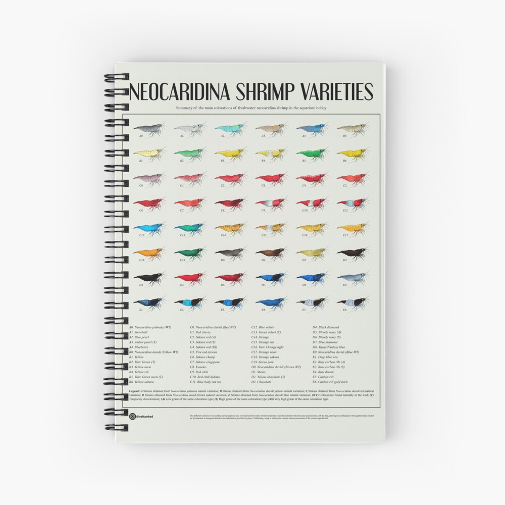 "Neocaridina shrimp poster" Spiral Notebook for Sale by Vallkaiser ...