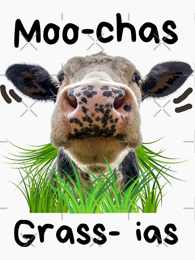 "Moo-Chas Grass-Ias" Sticker for Sale by BronikowskiART | Redbubble