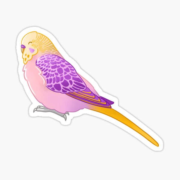 "Trixic Pride Budgie" Sticker by AdoraBirdArt | Redbubble